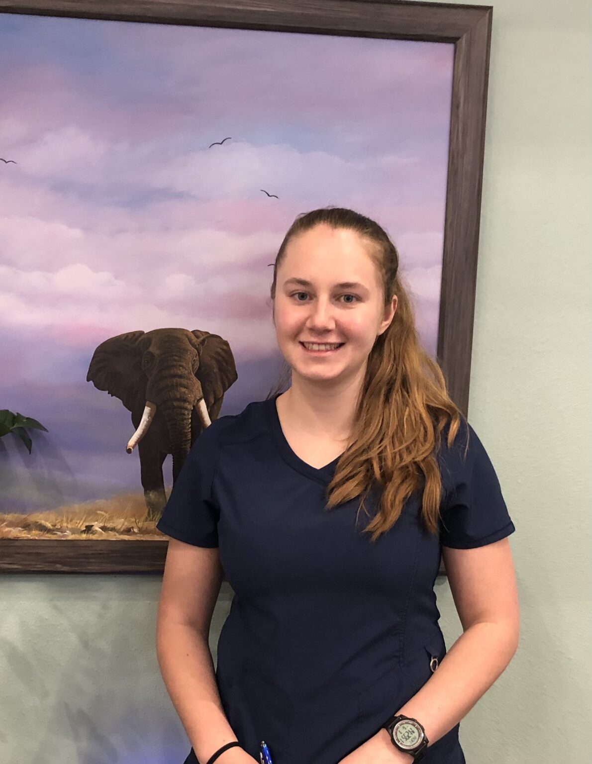 Meet Our Team - Midtown Veterinary Medical Center