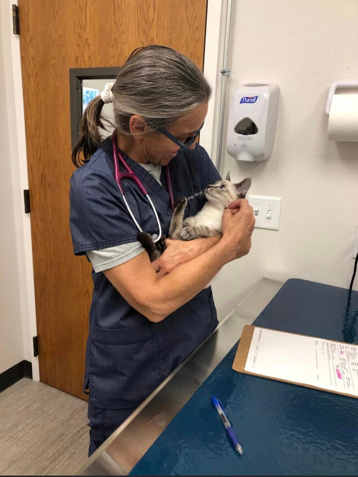 How Do Veterinarians Diagnose Injuries and Illnesses in Pets? - Midtown ...
